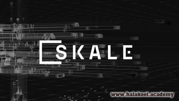 آینده سرمایه گذاری در ارز دیجیتال SKALE Network - آکادمی هلاکوئی