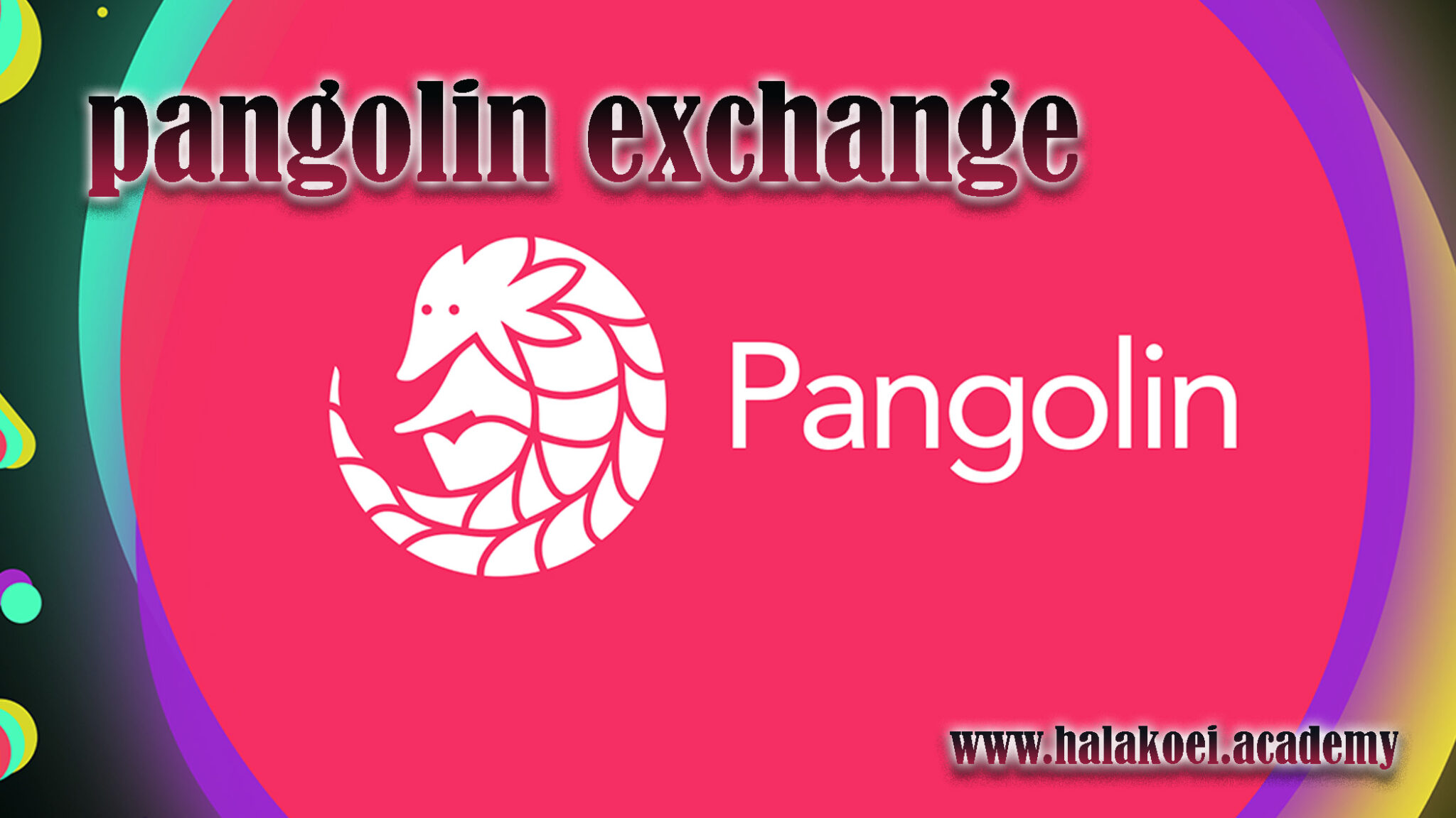 معرفی صرافی pangolin-exchange - آکادمی هلاکوئی